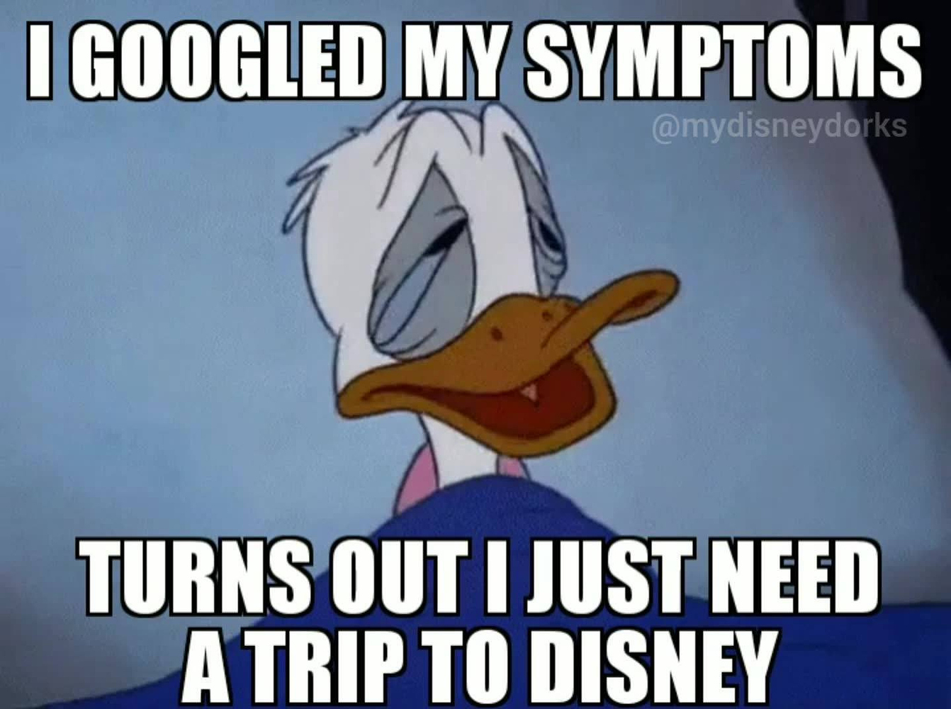 I think I'm getting sick - Walt Disney World - TouringPlans Discussion ...