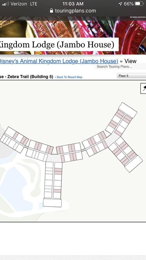 AKL Jambo House DVC Rental - Walt Disney World - TouringPlans ...
