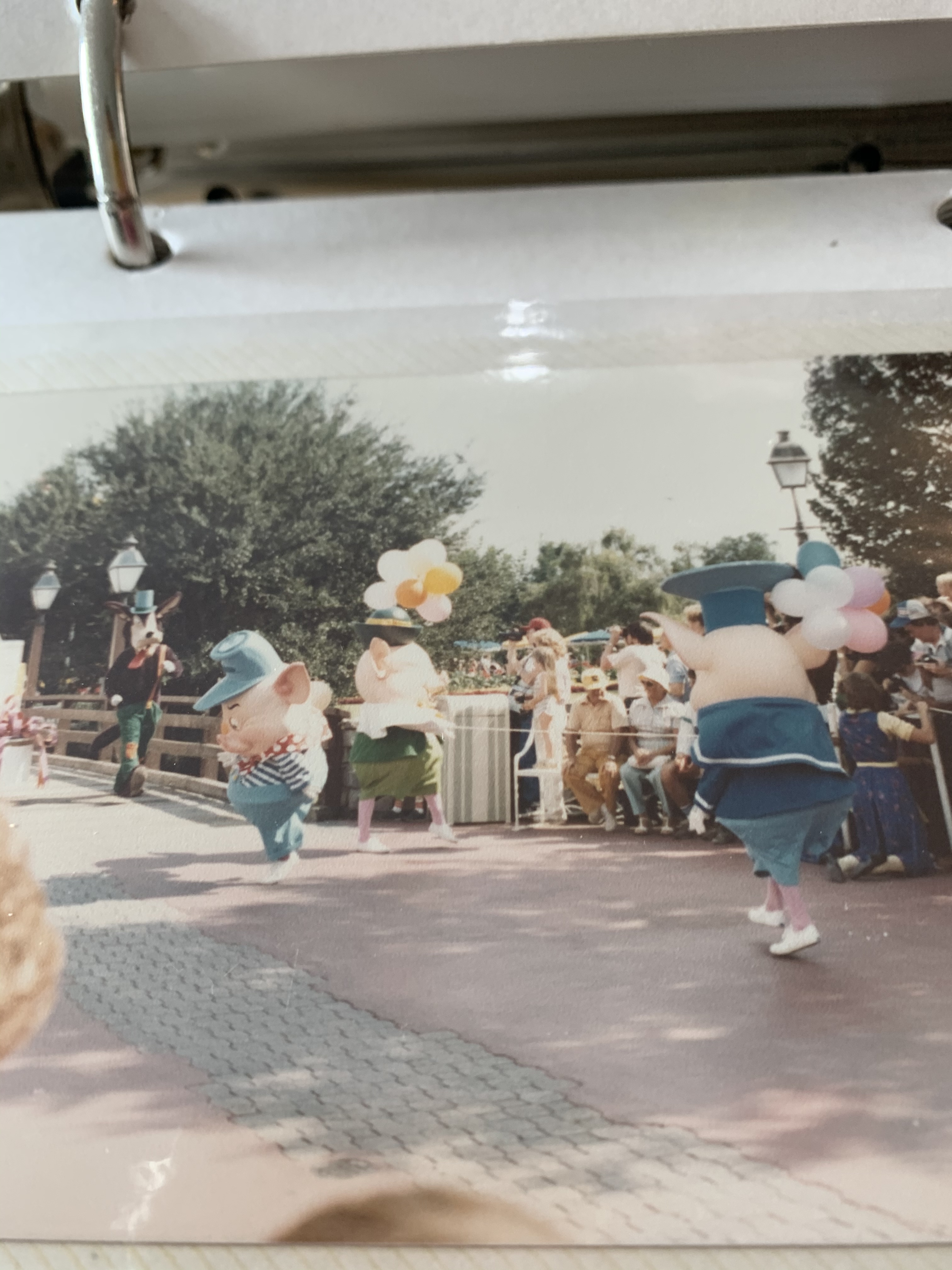 1984 Donald Duck 50th Birthday Parade Pictures - Walt Disney World ...