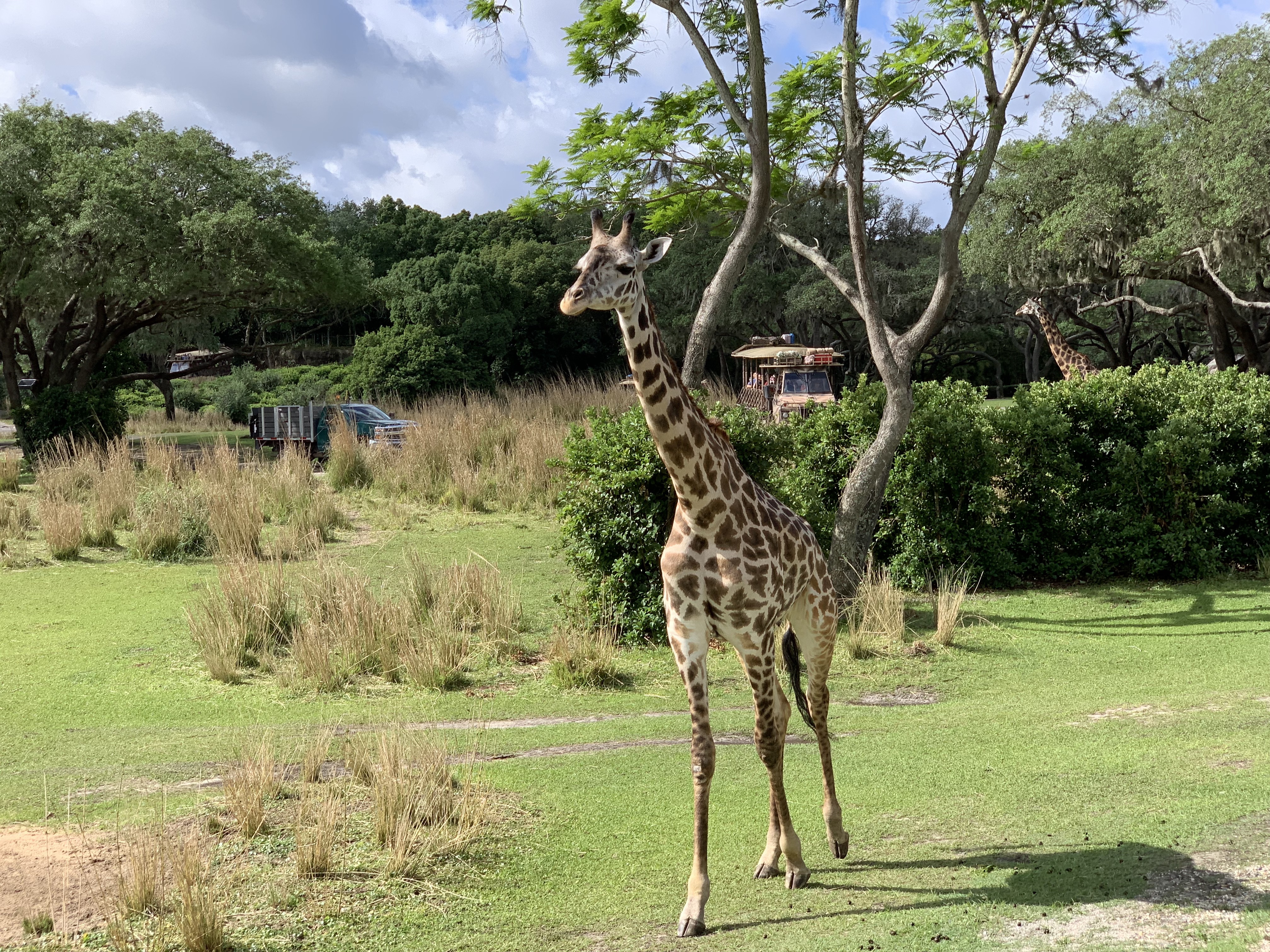 Funigans Trip Report - Easter 2019 Band Trip - Walt Disney World ...