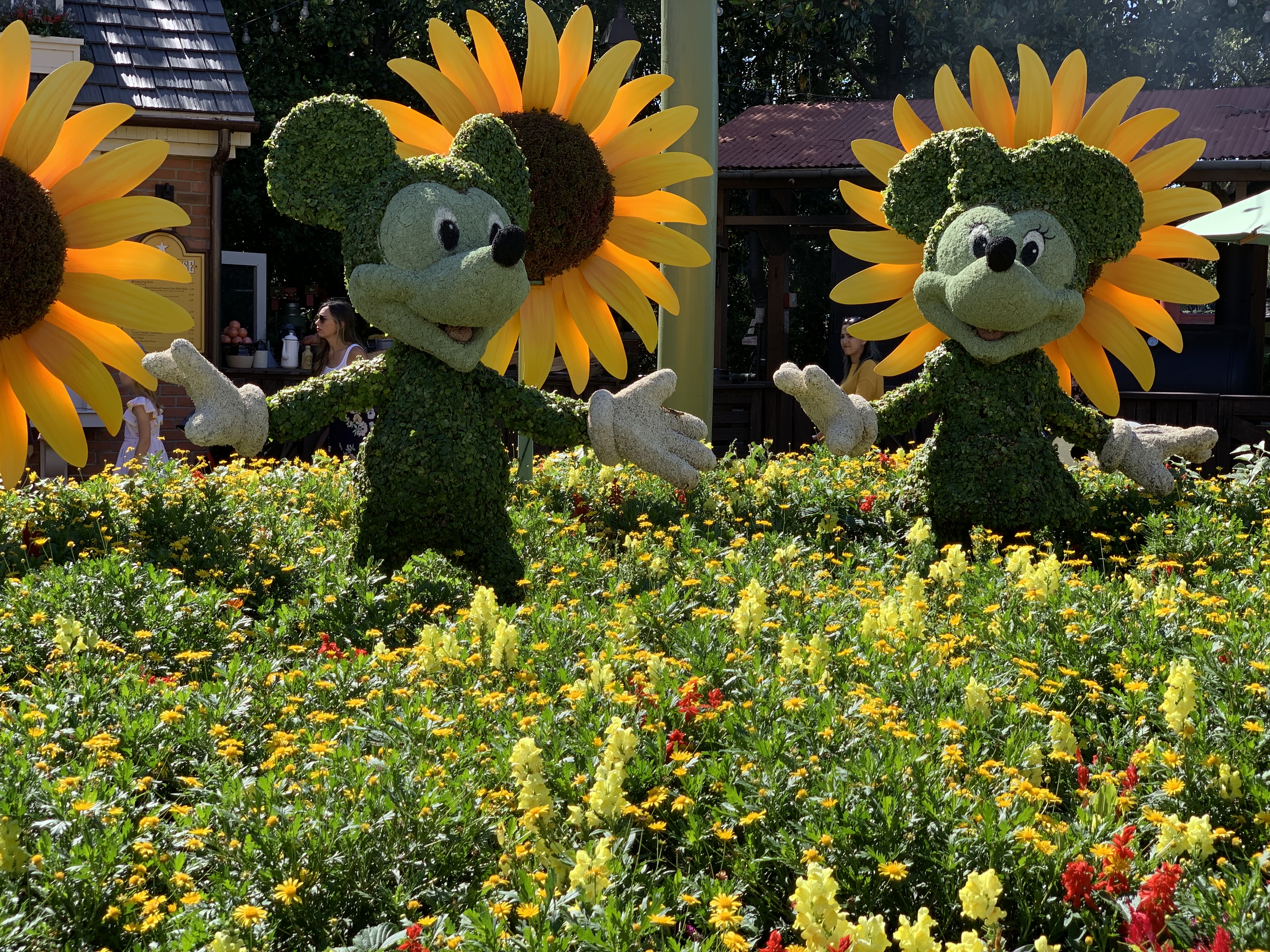 Funigans Trip Report - Easter 2019 Band Trip - Walt Disney World ...