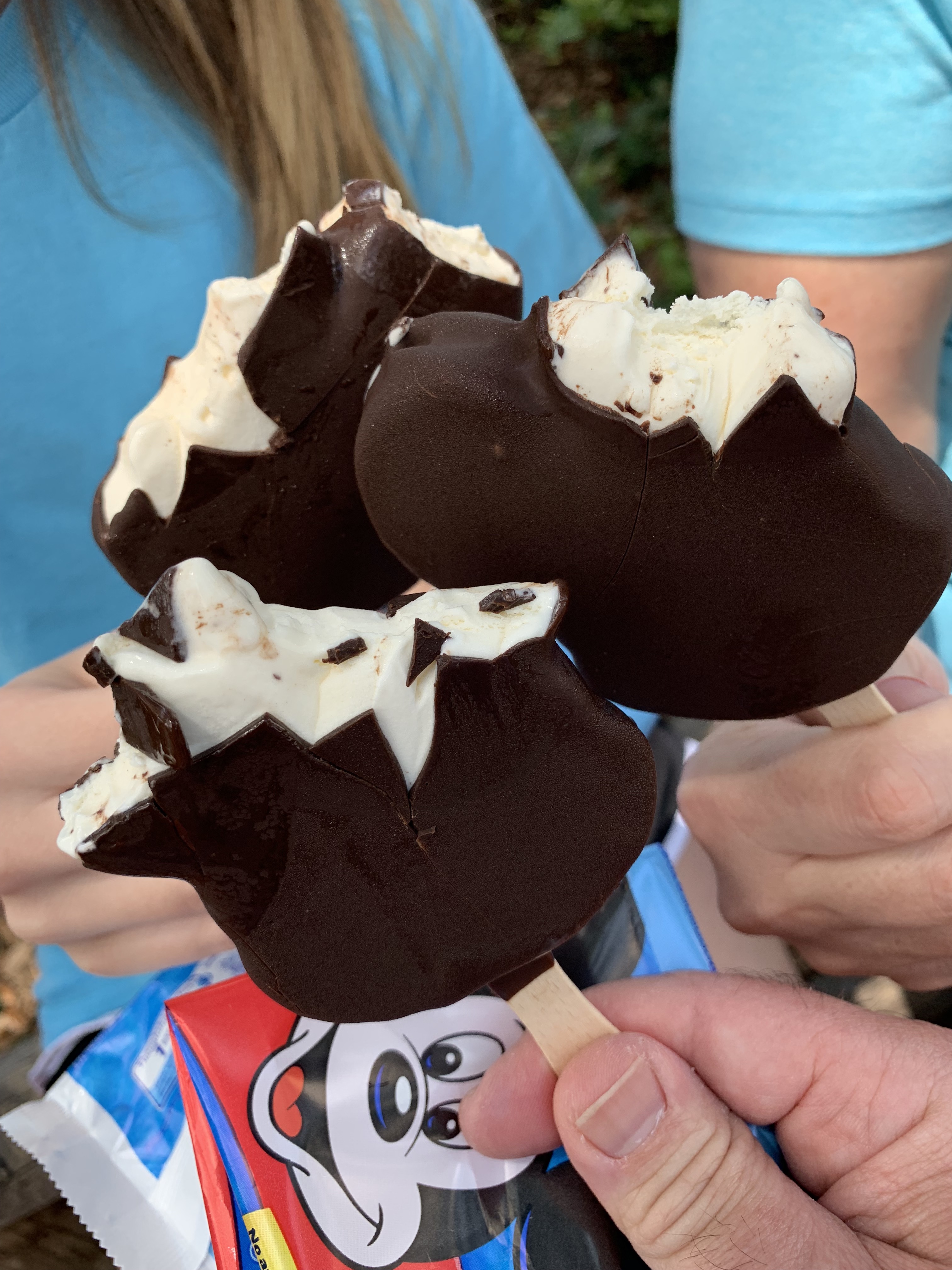 Funigans Trip Report - Easter 2019 Band Trip - Walt Disney World ...